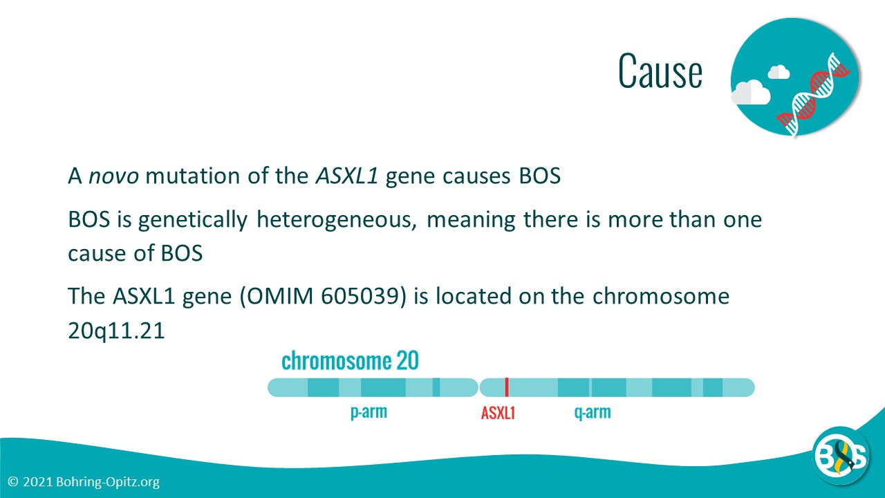 Printables and Downloads – Bohring-Opitz Syndrome/ASXL1