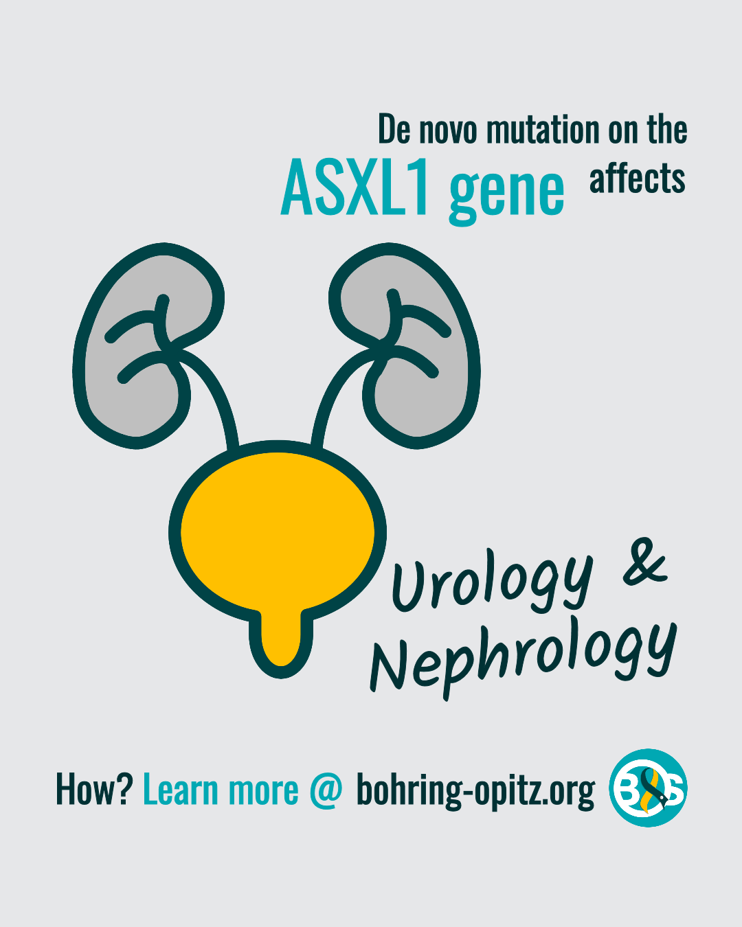 Interactive Visual Aid – Bohring-Opitz Syndrome/ASXL1